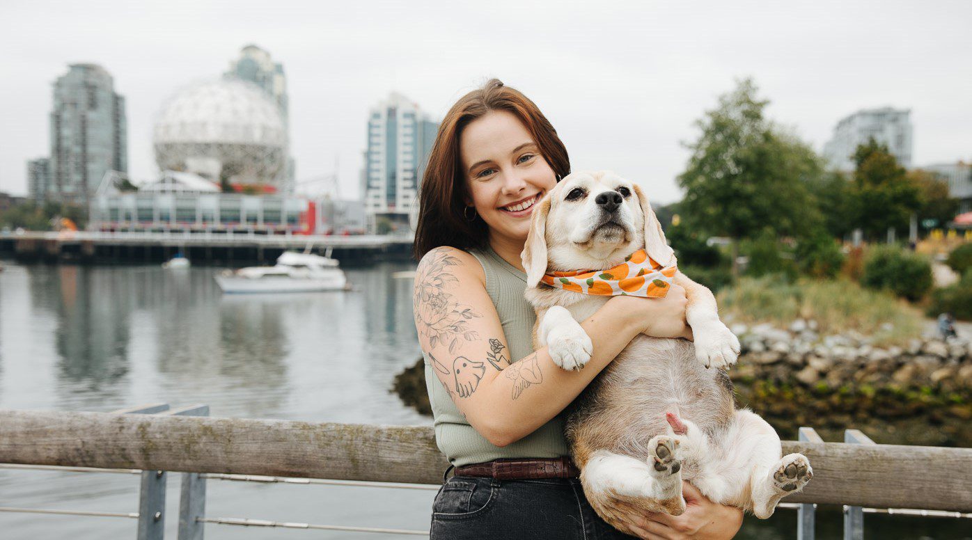 Toby the beagle: from BC SPCA to local Instagram celeb - BC SPCA