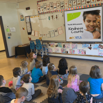 For teachers - BC SPCA