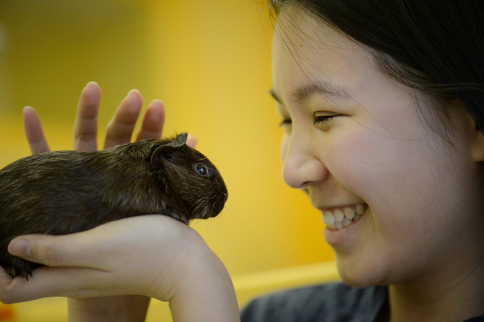 BC SPCA transitions to a new shelter in Richmond