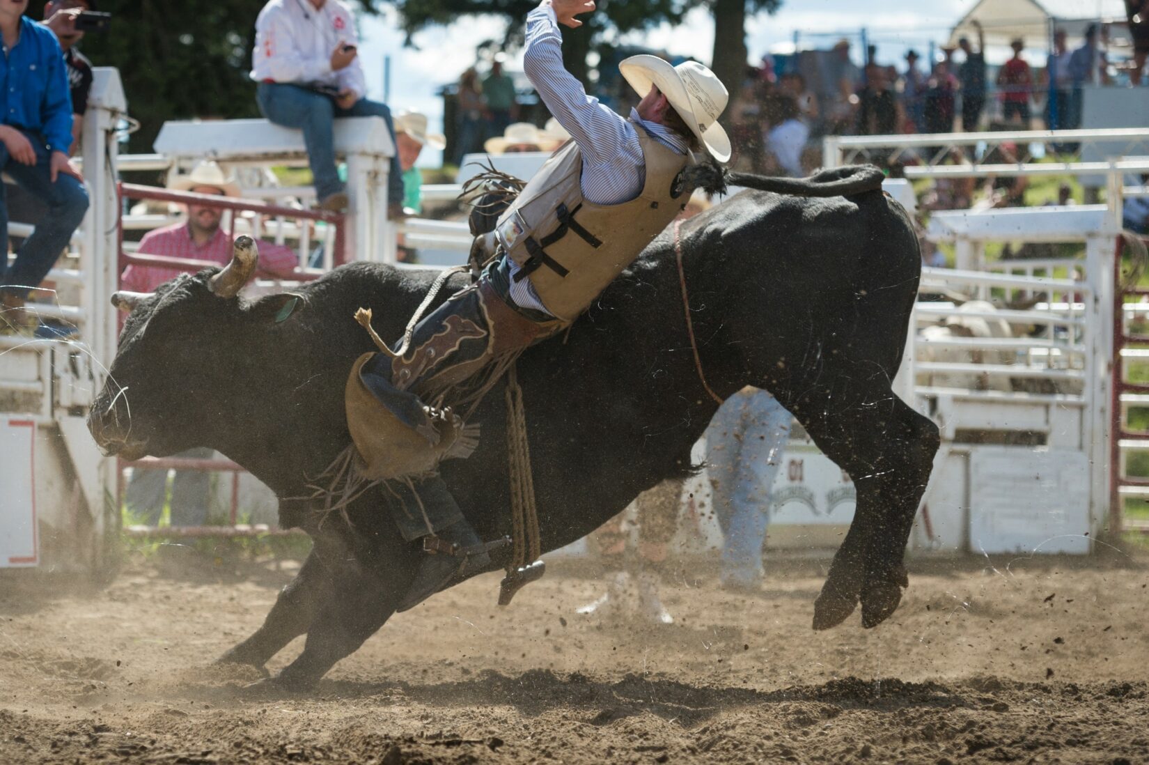Rodeo - BC SPCA