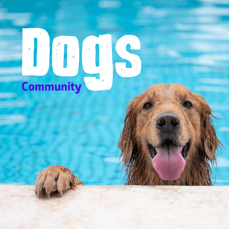 Humane education lessons and activities for your class - BC SPCA