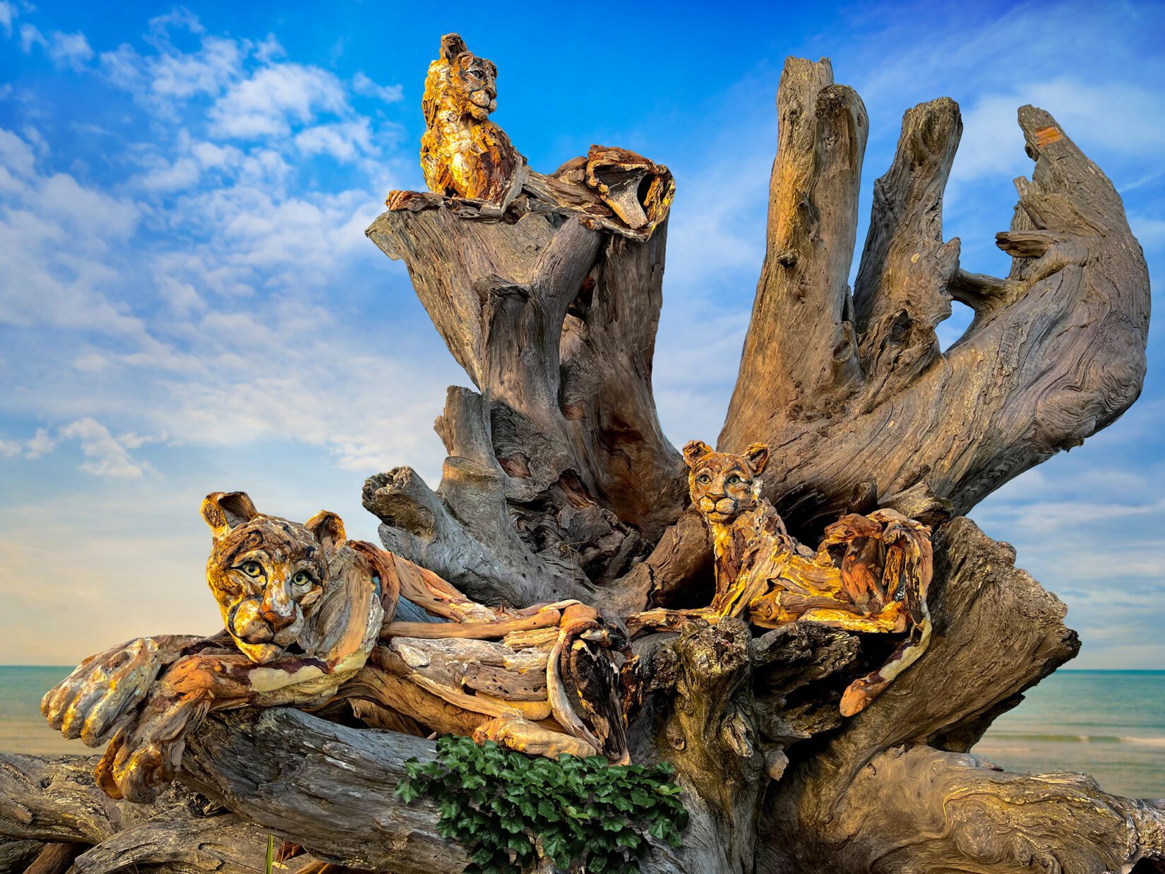 Life-sized driftwood sculptures coming to Victoria in support of wild ...