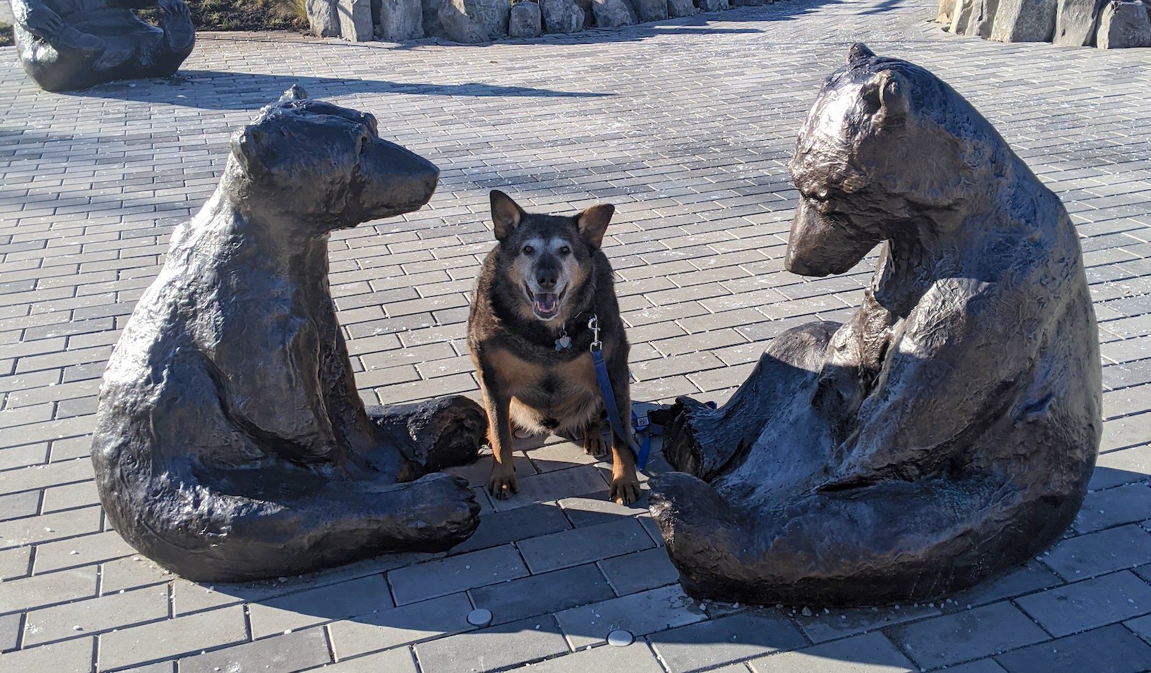 Chiefer Sutherland - BC SPCA
