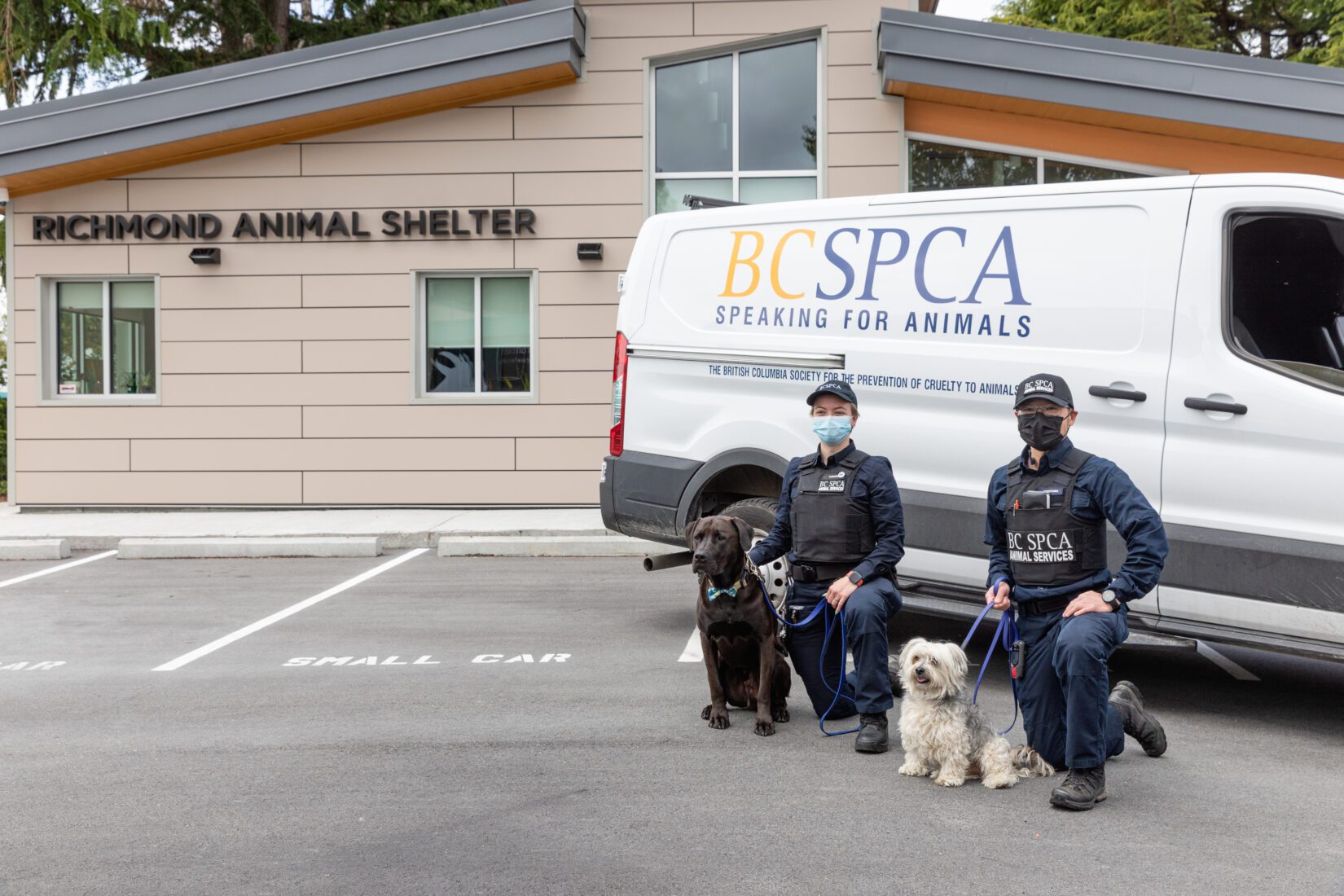 Pet ID Registration - BC SPCA