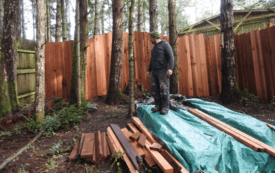 Volunteer with Wild ARC - BC SPCA
