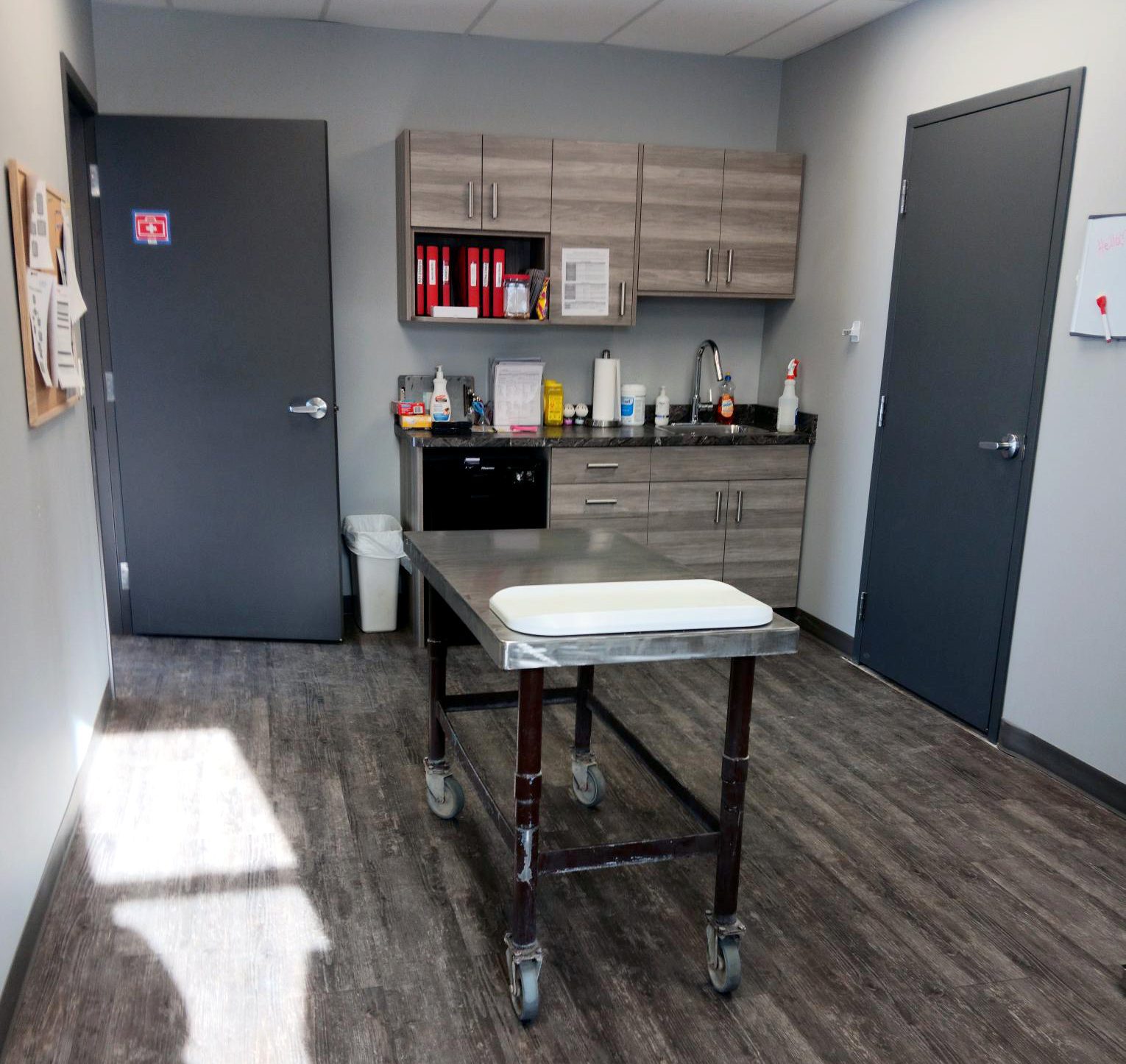 BC SPCA North Peace reopens at new location by appointment only - BC SPCA