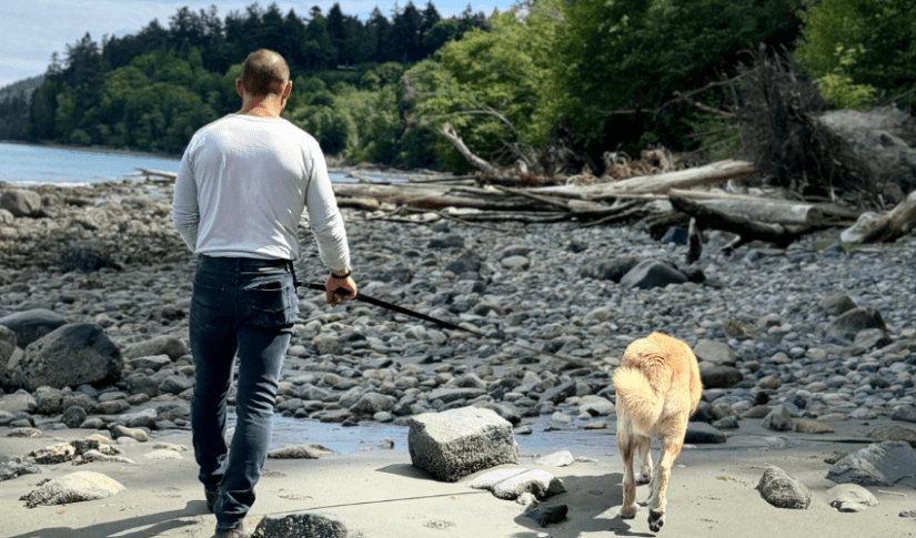 Long-term resident Oso finds forever dog dad - BC SPCA