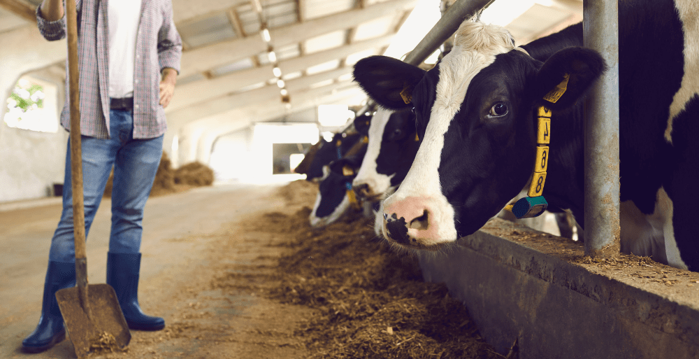 Your Vote is their Voice