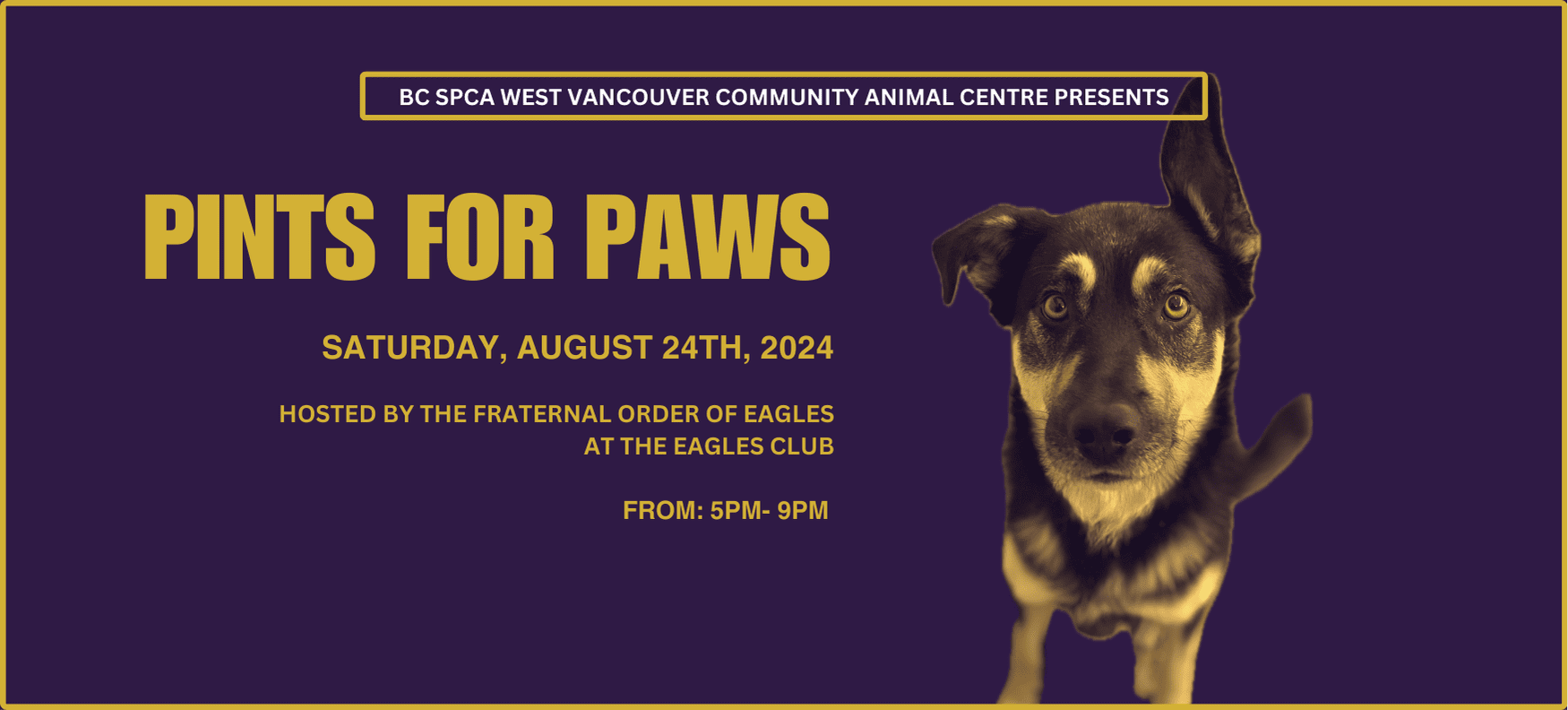 Pints for Paws - BC SPCA