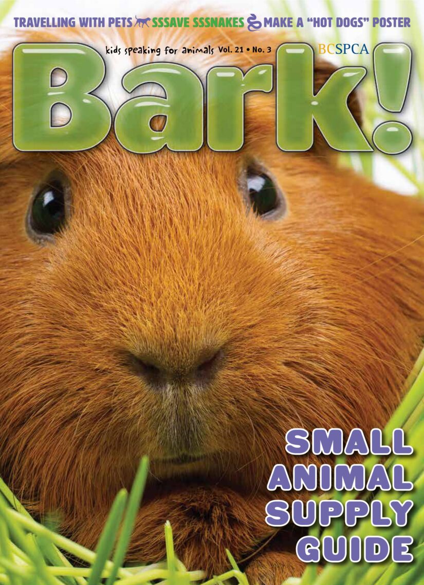 For kids - BC SPCA