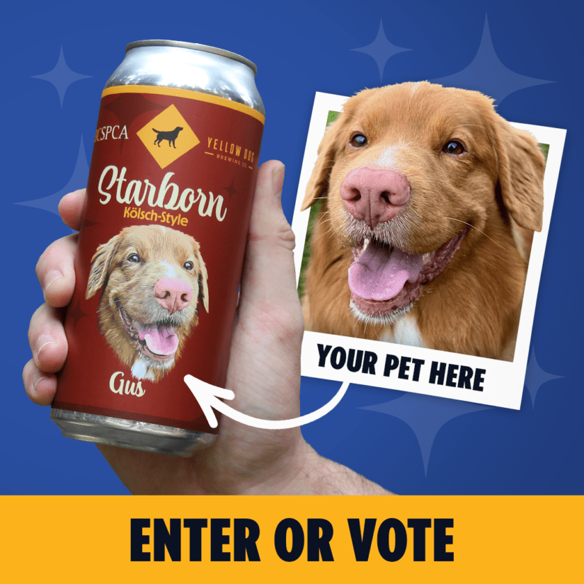 BC SPCA Provincial Office