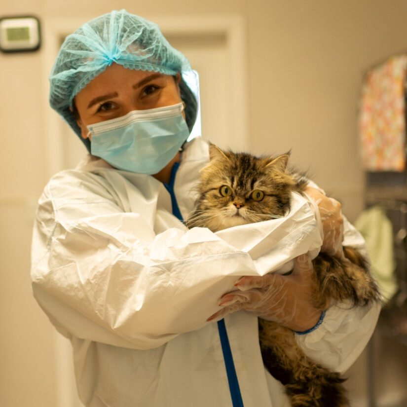 Your Love Can Change Everything | BC SPCA