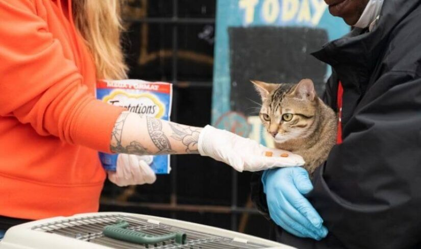 25 Years of Charlie’s pet food bank: celebrating thousands of pets ...