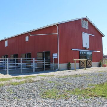 BC SPCA farm animal programs