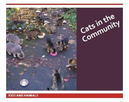 Animal lessons for intermediate students - BC SPCA