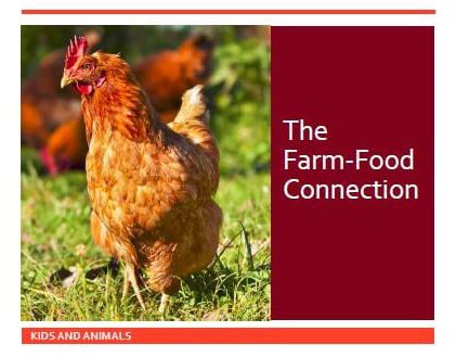 Animal lessons for intermediate students - BC SPCA