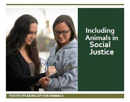 Animal lessons for intermediate students - BC SPCA