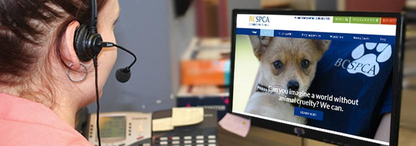 Animal protection help topics - BC SPCA