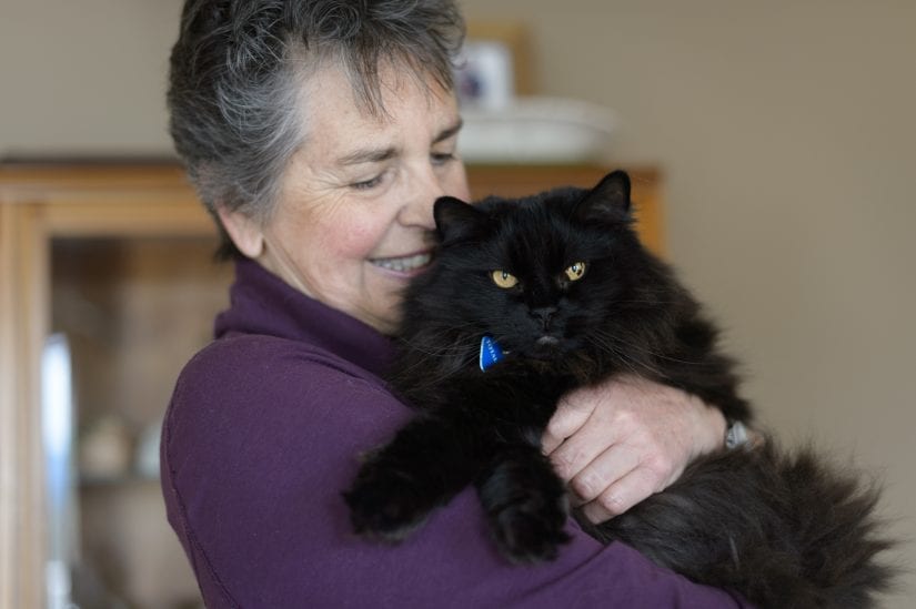 Make The Right Match BC SPCA make-the-right-match-bc-spca