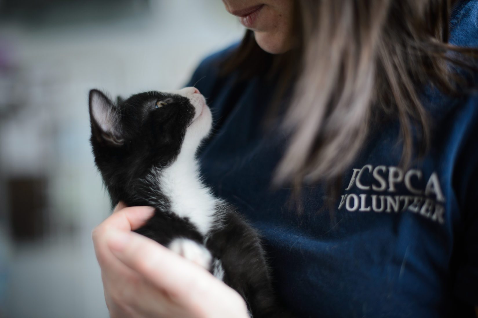 BC SPCA applauds its dedicated volunteers