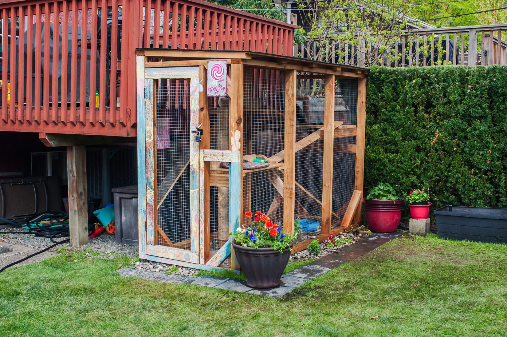 Why you should build a catio for your cat - BC SPCA Why you should build a catio for your cat - BC SPCA