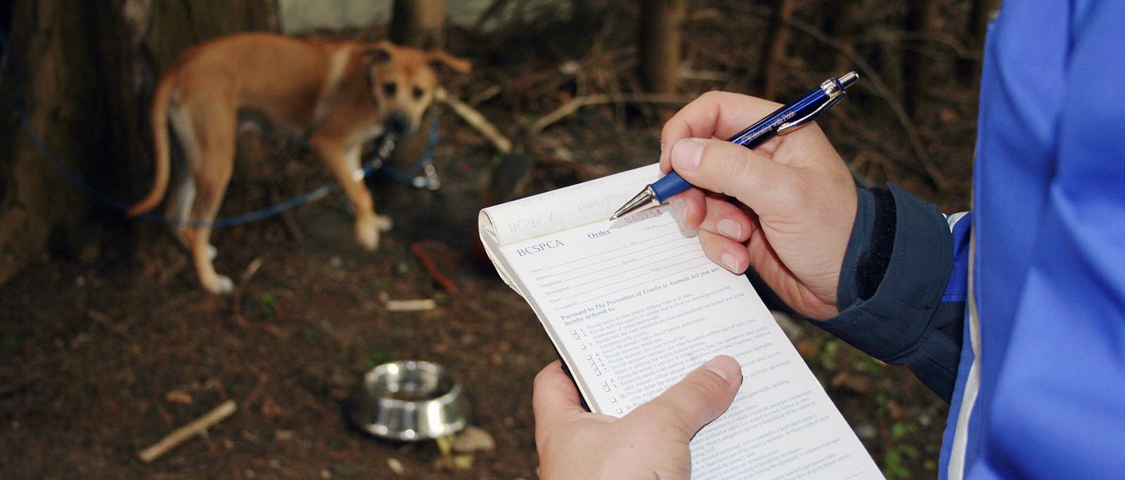 Animal protection help topics - BC SPCA