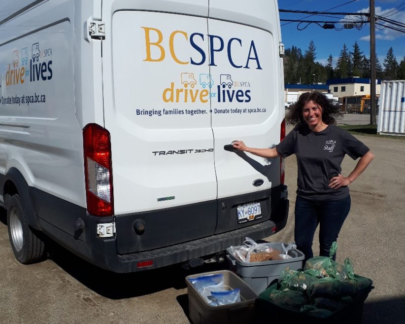 How the BC SPCA helped give back this year - BC SPCA