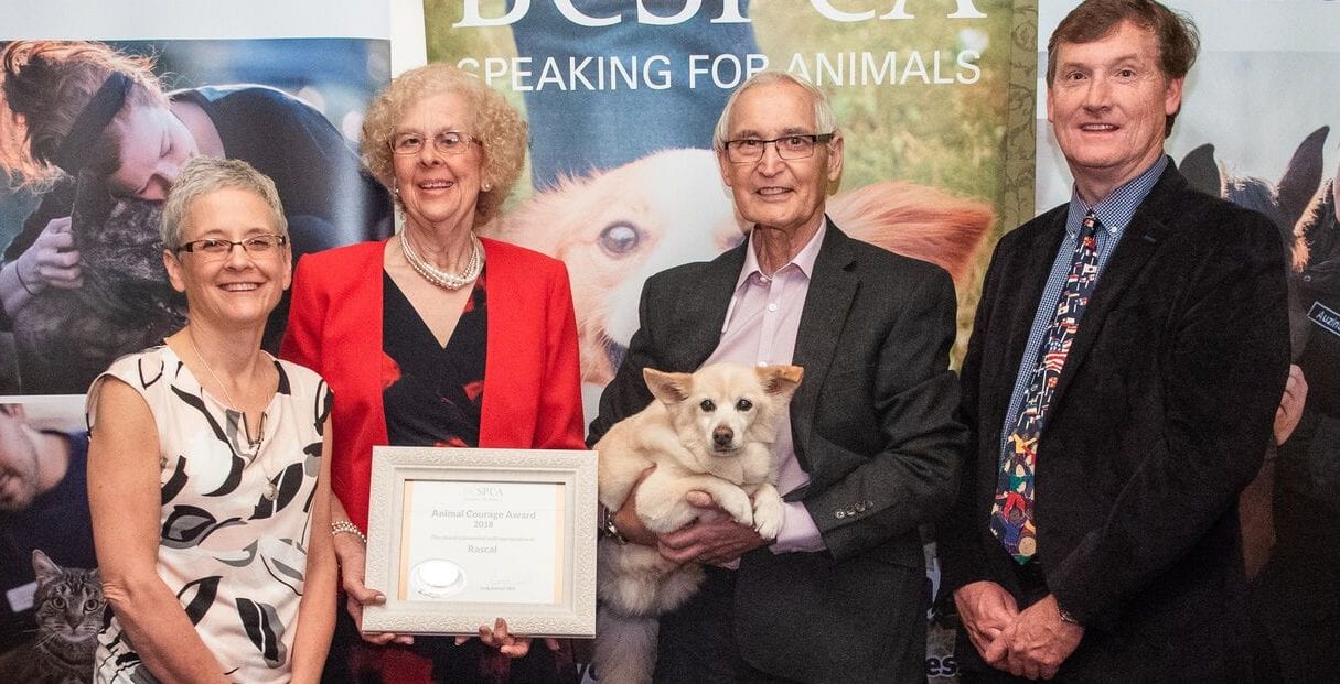 Two Nanaimo dogs honoured at 2018 BC SPCA Awards Ceremony - BC SPCA