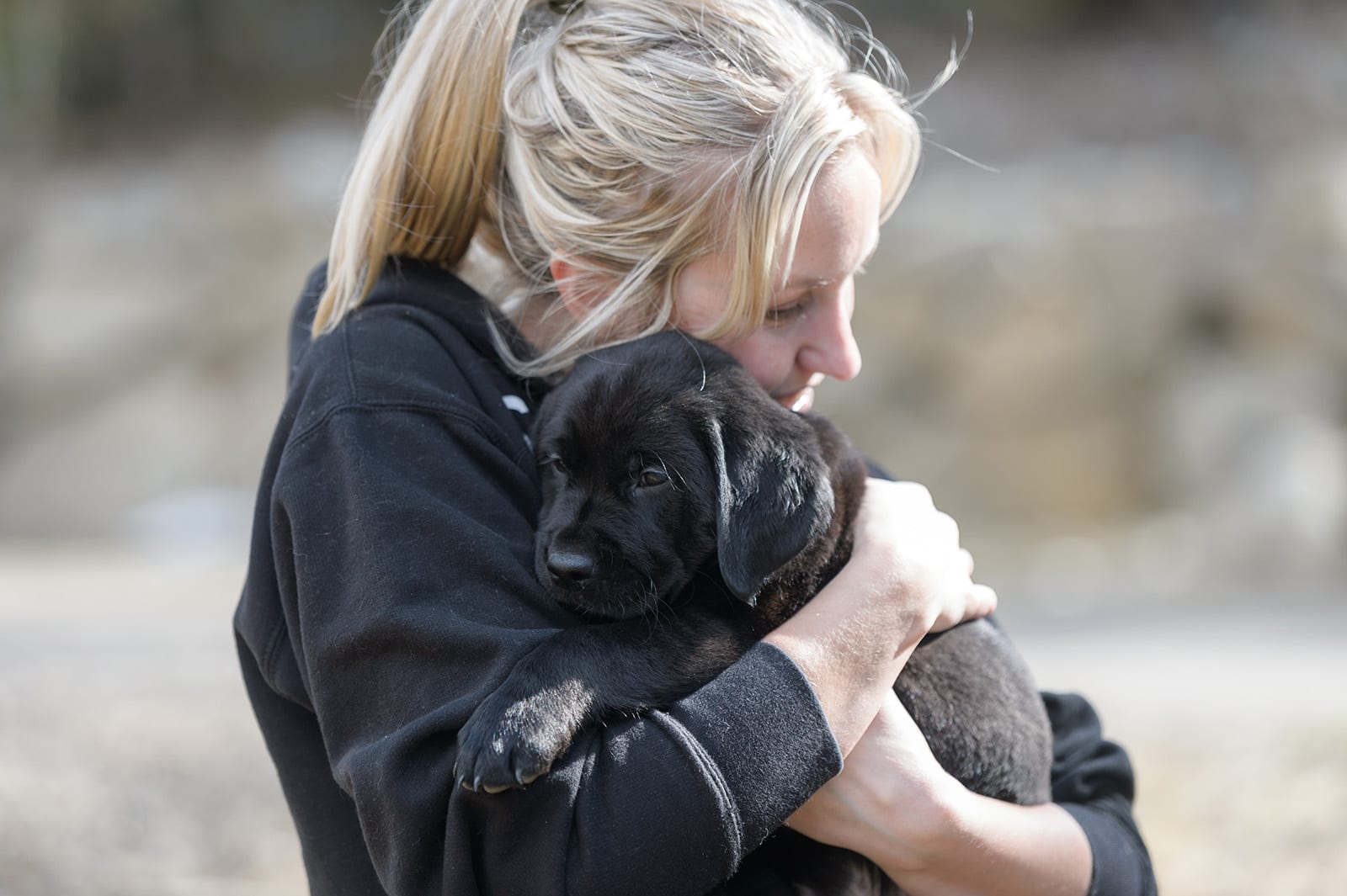 Lost and found animal help topics - BC SPCA