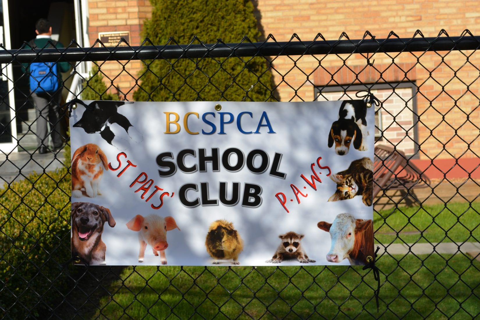 For kids - BC SPCA