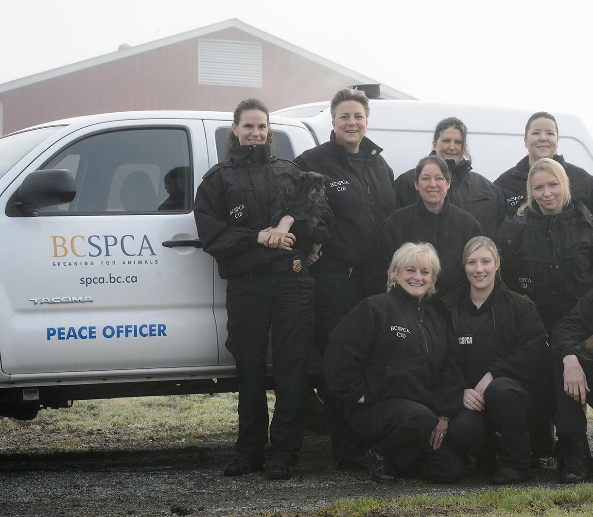 Animal protection help topics - BC SPCA